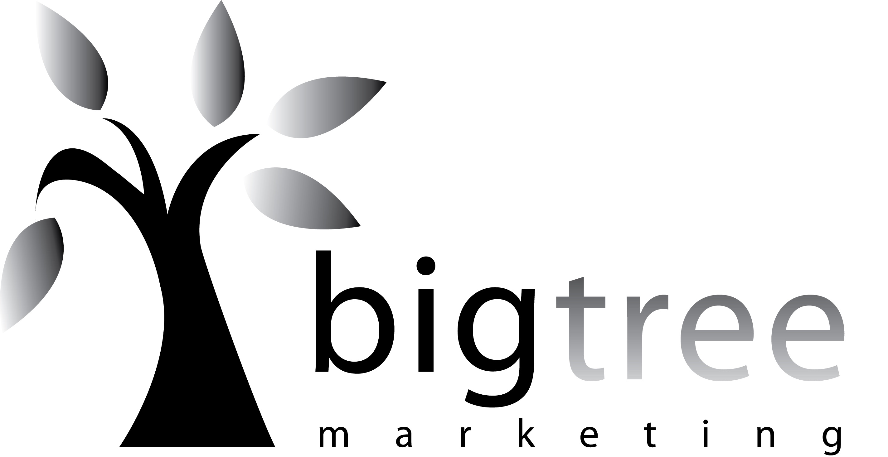 Big Tree Marketing: Rooted in Strategy, Grown Through Collaboration | Southern Africa Tourism ...